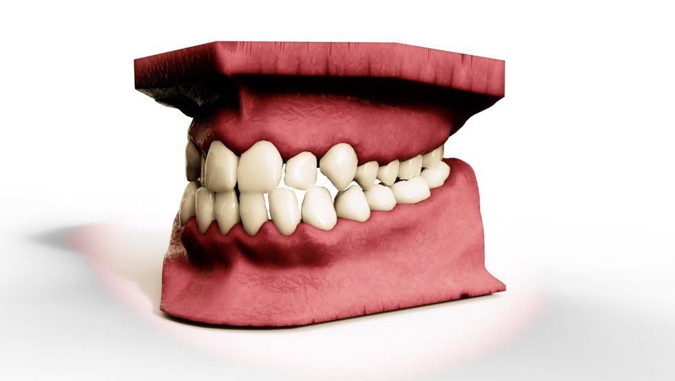 Different Departments of Dentistry Explained: Your Guide to Specialized ...
