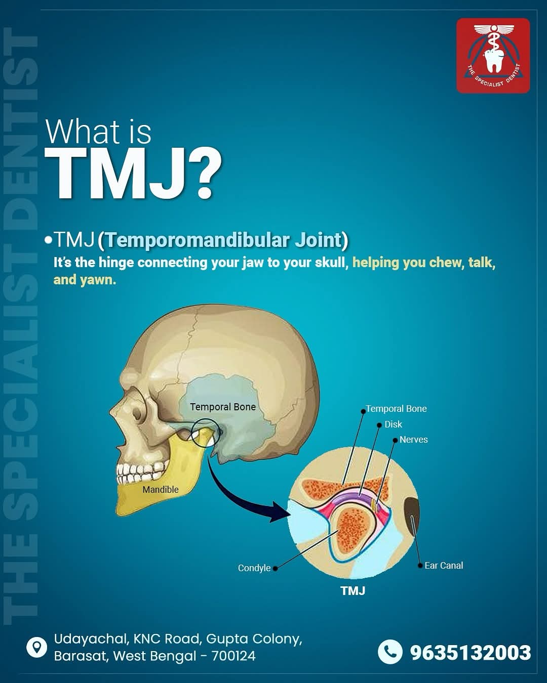 TMJ Disorders: Causes, Symptoms, and Effective Treatments - The ...